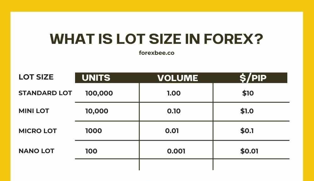 What is Lot Size in Trading?| Market Nexus Edge